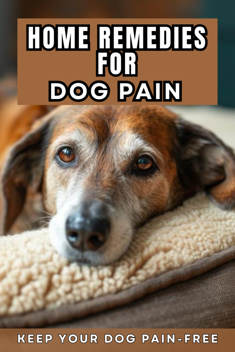 Home Remedies for Dog Pain [Relief for Your Pup's Discomfort] - Dogdorable
