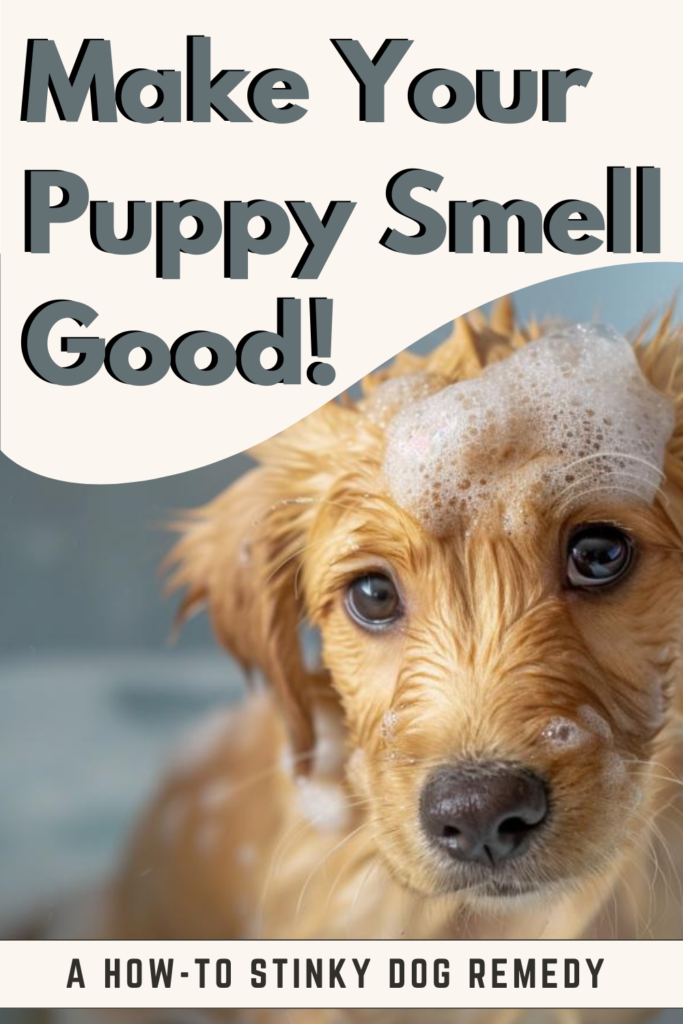 How to Make a Puppy Smell Good [Stinky Dog Remedy] - Dogdorable