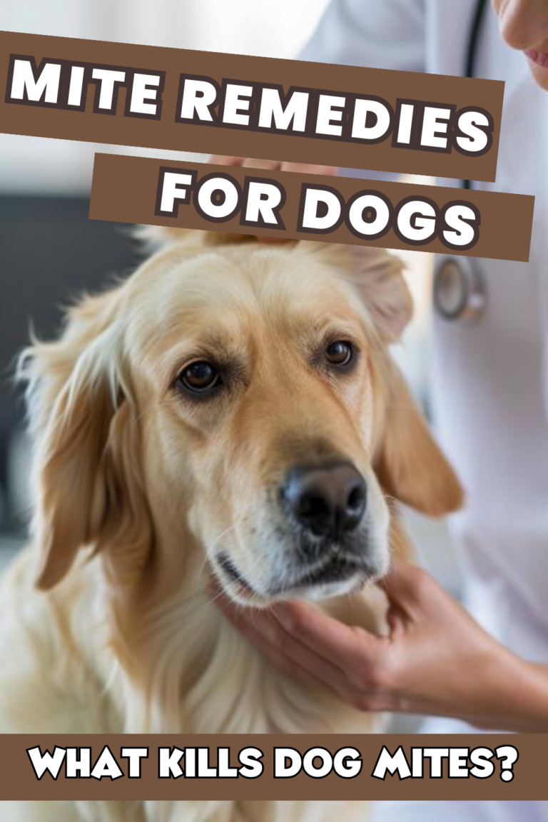 What Kills Mites on Dogs? [The Best DIY Treatments] – Dogdorable