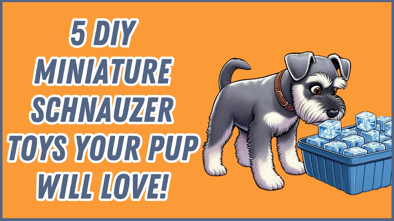 5 DIY Miniature Schnauzer Toys Your Pup Will Love!